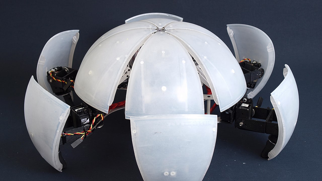 This Ingenious Robot Rolls, Unfolds, Then Scampers - Fast Company