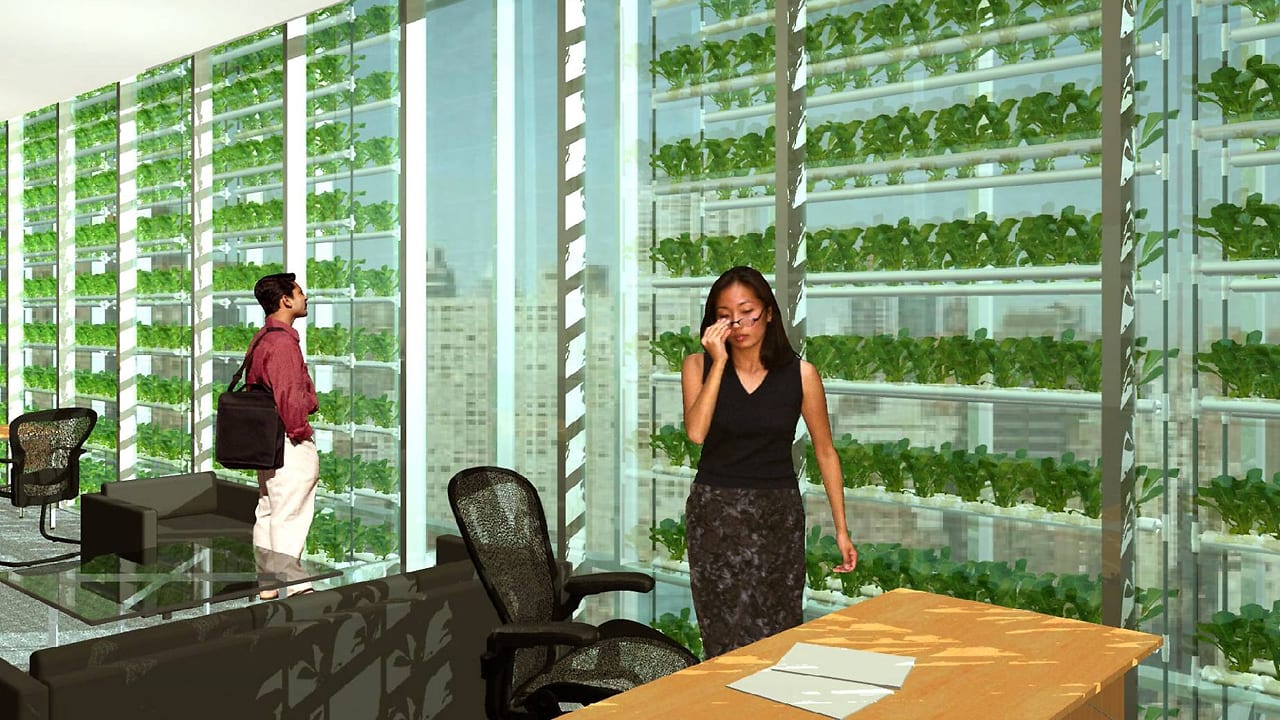 A Visionary Farmer Sees Greenhouses Everywhere, From Rivers To Rooftops ...