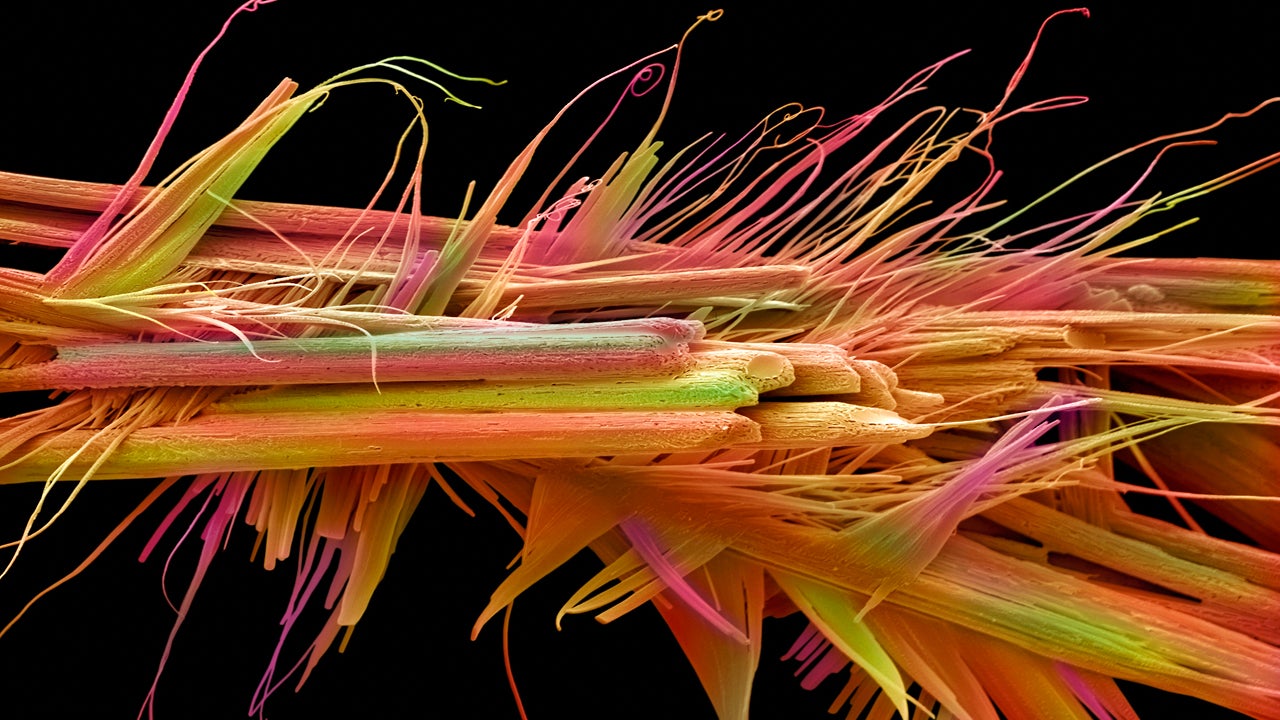 10 Of The Year's Most Amazing Science Photos - Fast Company