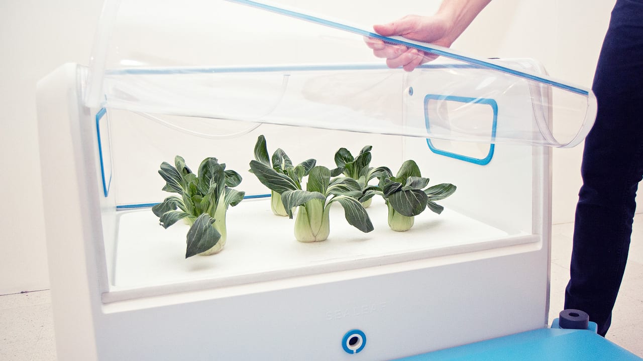 A Modular Garden That Floats Across The Sea - Fast Company