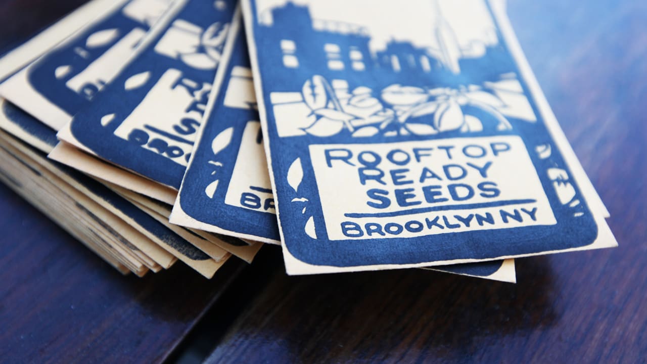 Selling Seeds That Survive The Harsh Life Of An Urban Garden - Fast Company