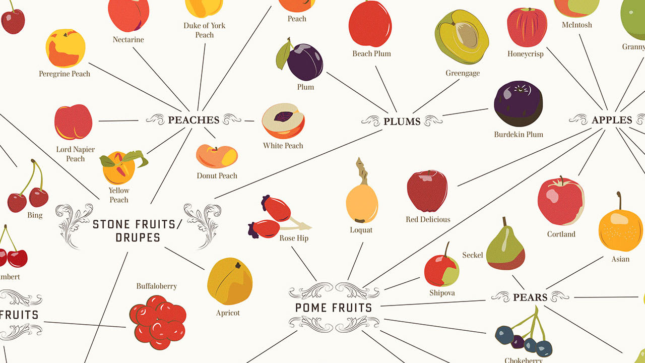 Infographic: Over 300 Fruits On One Mouthwatering Map - Fast Company