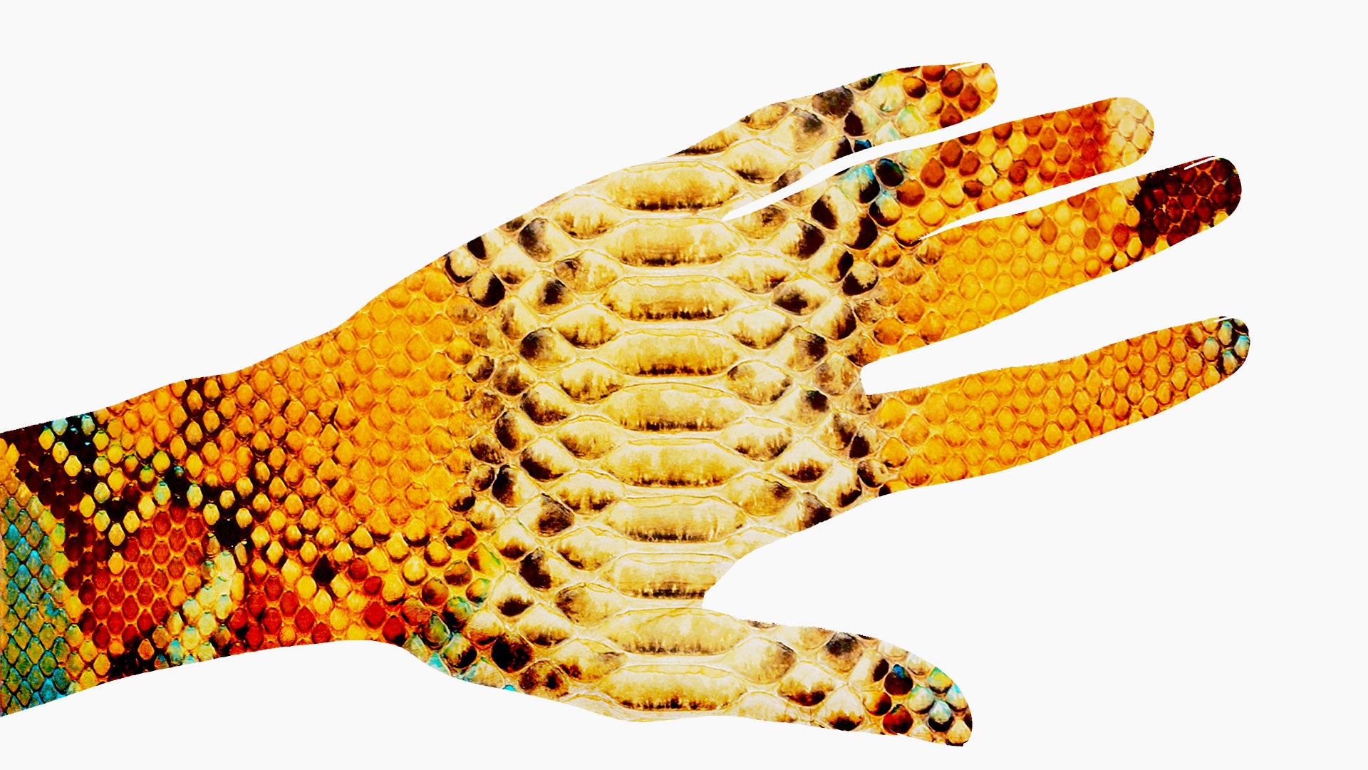How It Feels To Become A Cyborg - Fast Company