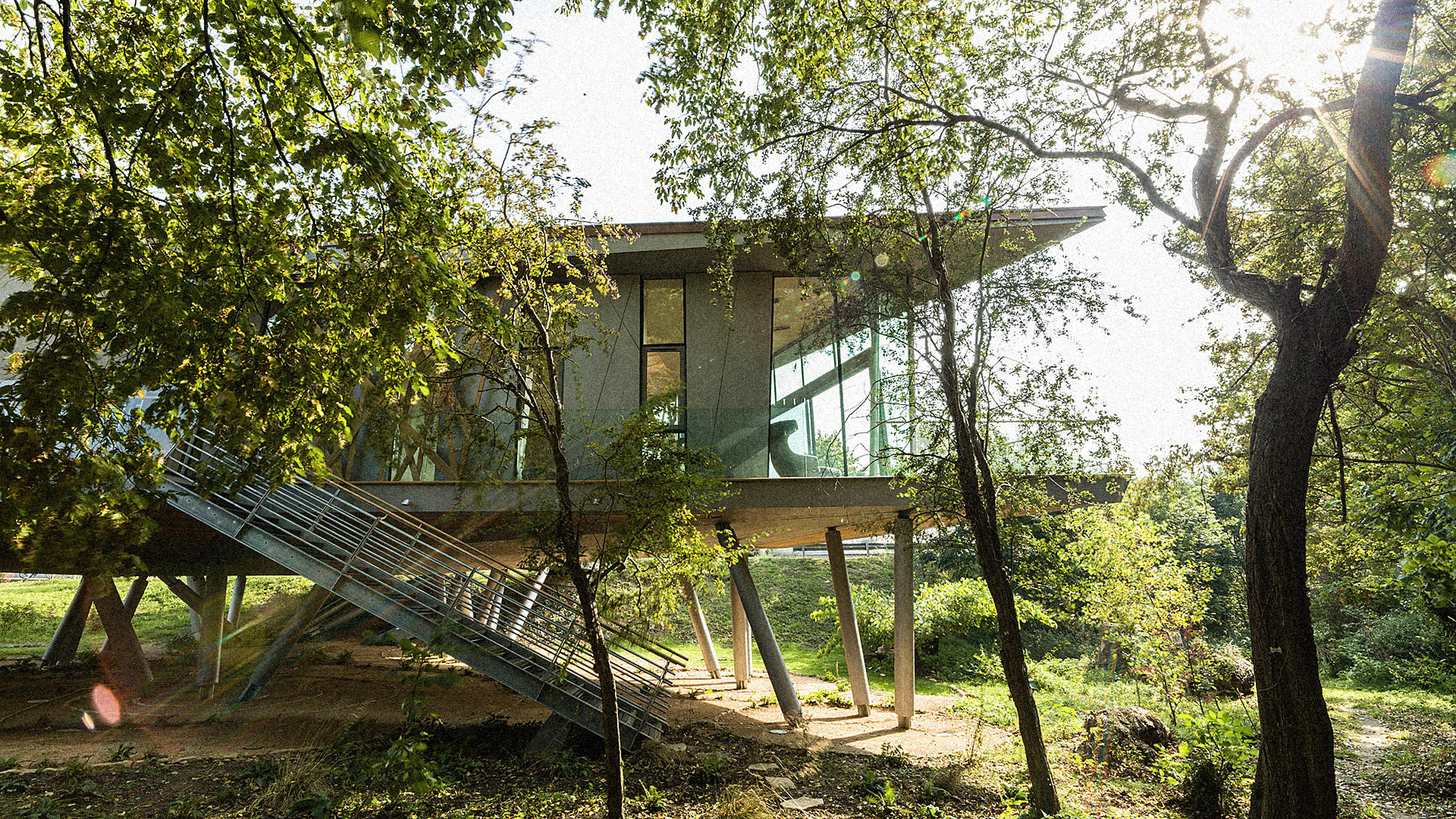 A Cancer Support Center Designed Like A Treehouse - Fast Company