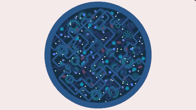 Complex Questions About Life And Death, Explained In A Simple Animated ...
