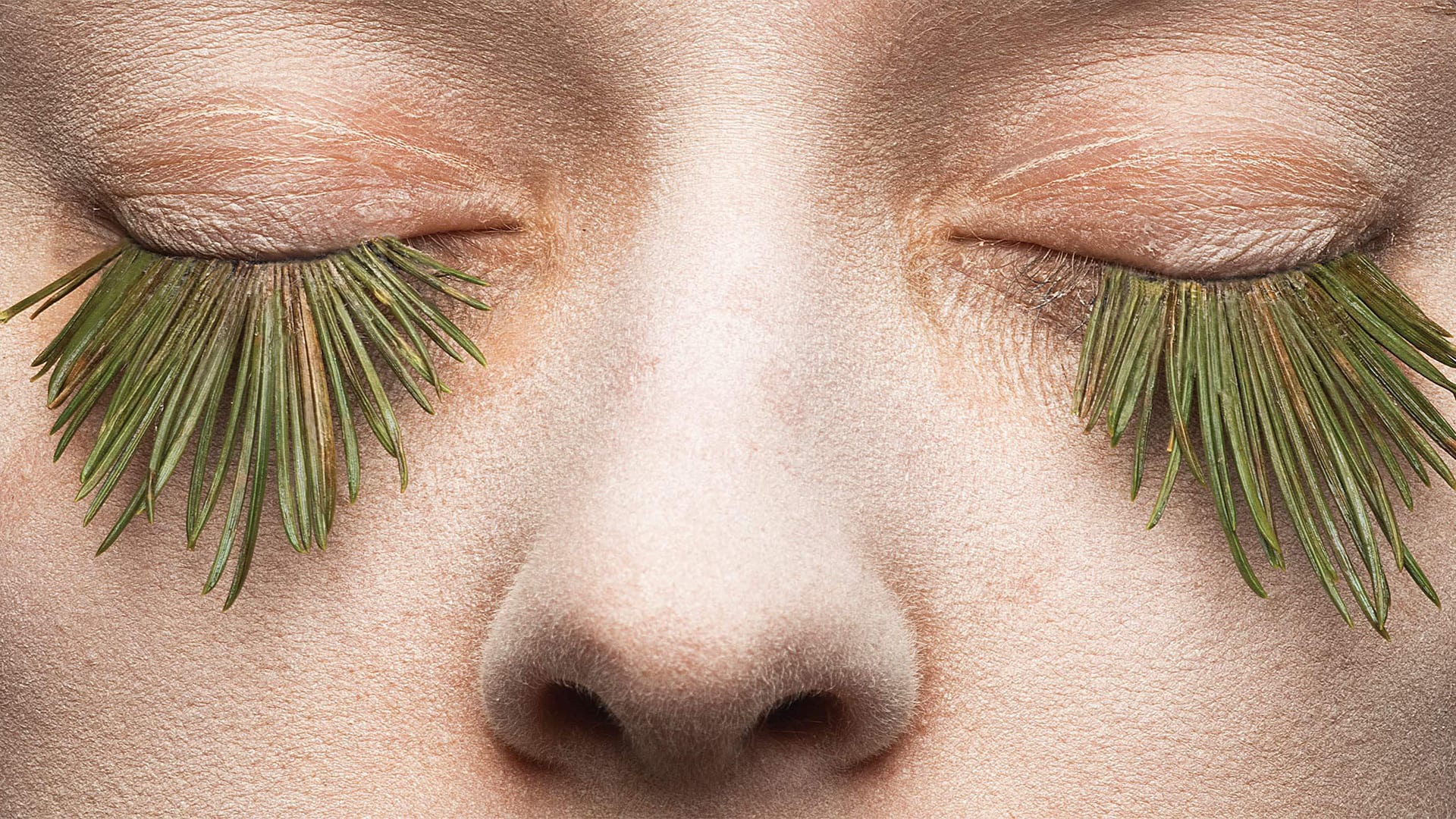 Evergreen Eyelashes Are Nature's 'All Natural' Cosmetic - Fast Company