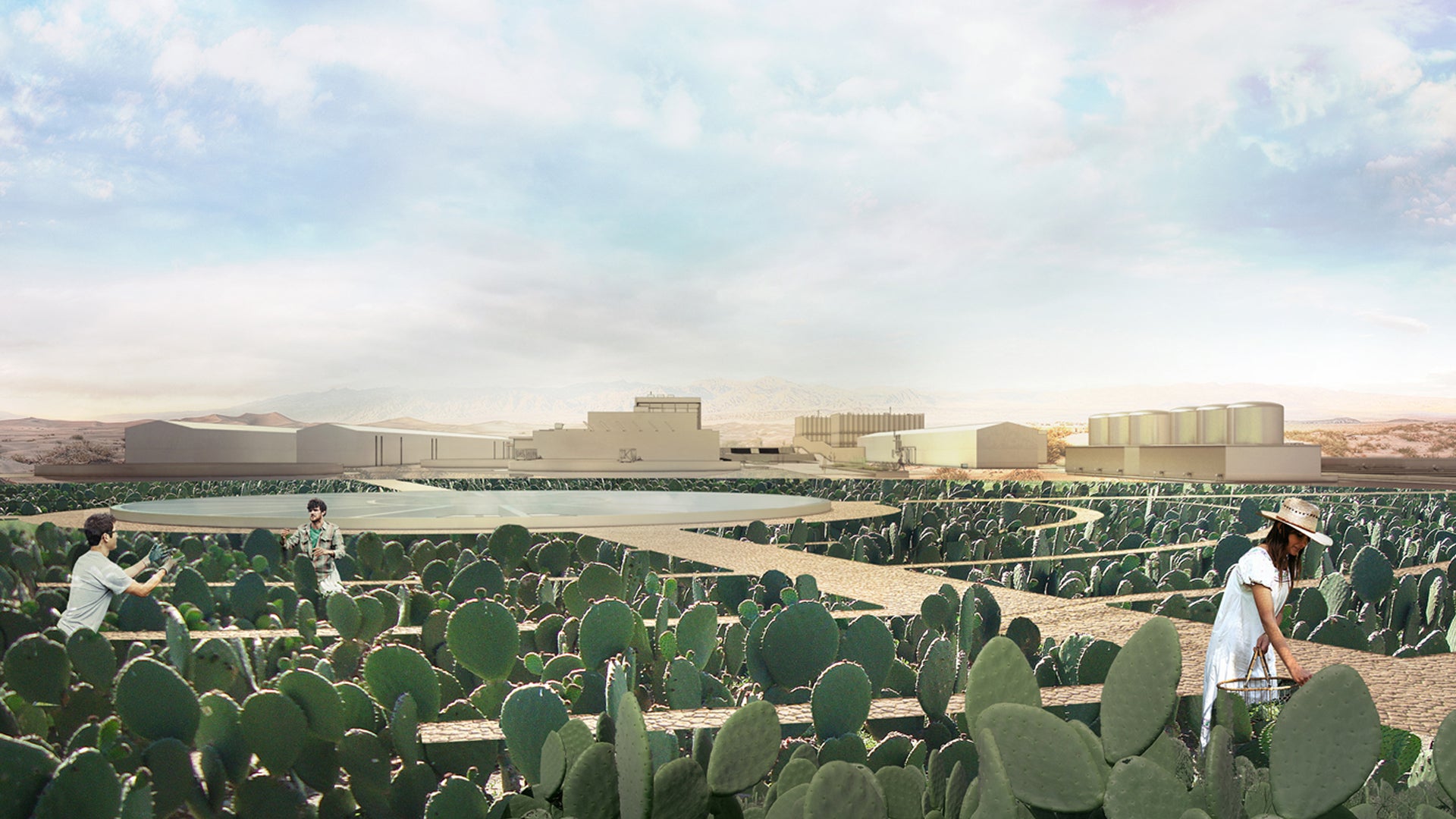 A Radical Way To Rethink Resource Efficiency Starts With...Cacti ...