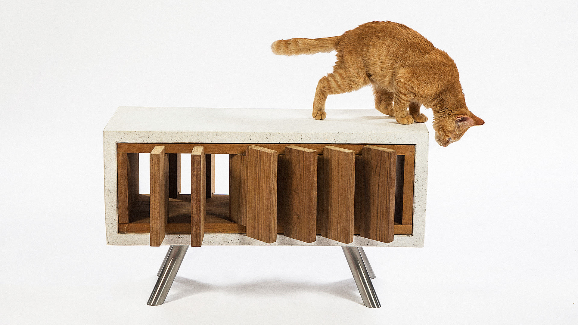 What Happens When You Let Architects Design Cat Houses - Fast Company
