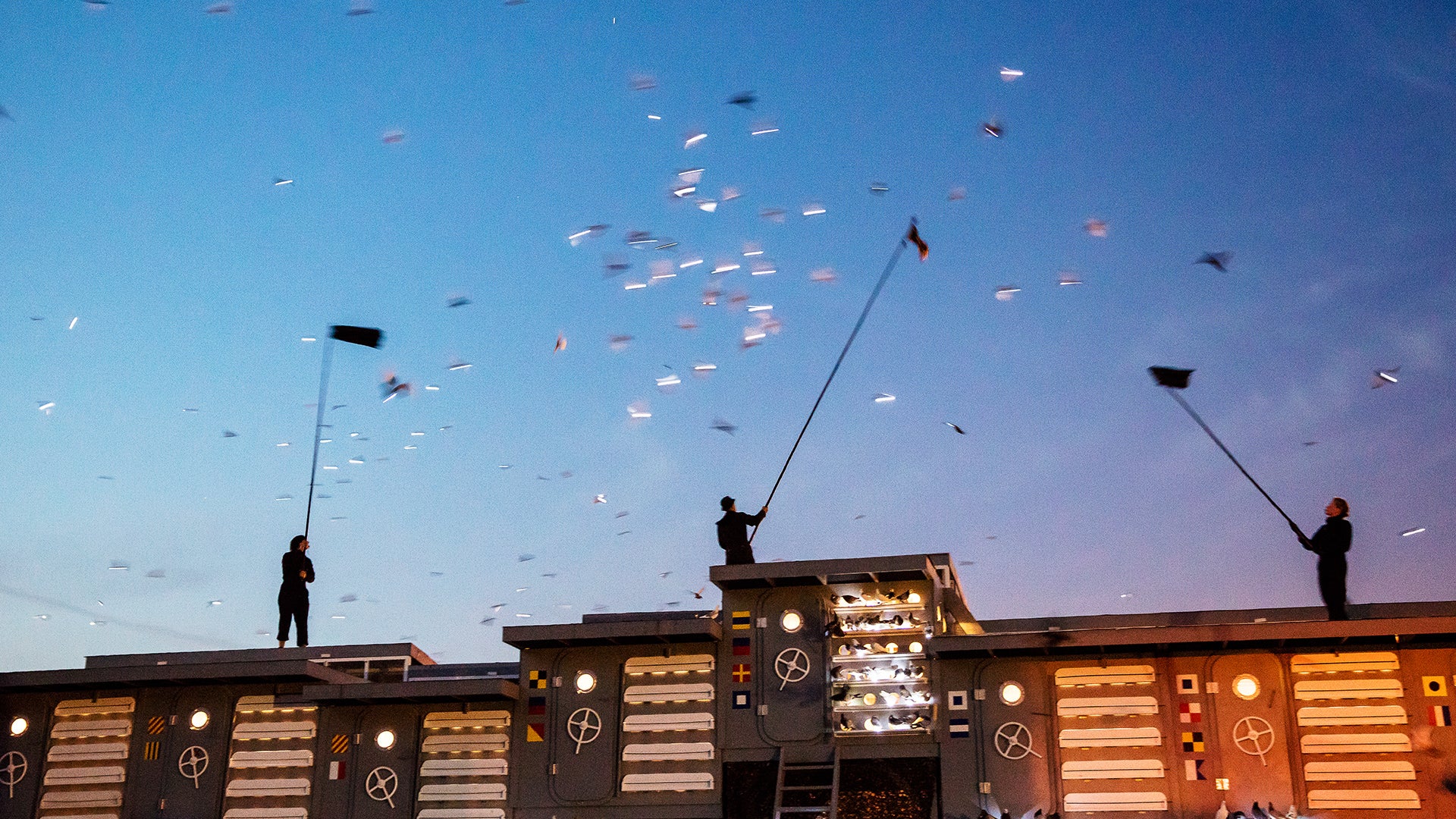 An Otherworldly Light Show Courtesy Of 2,000 Trained Pigeons - Fast Company