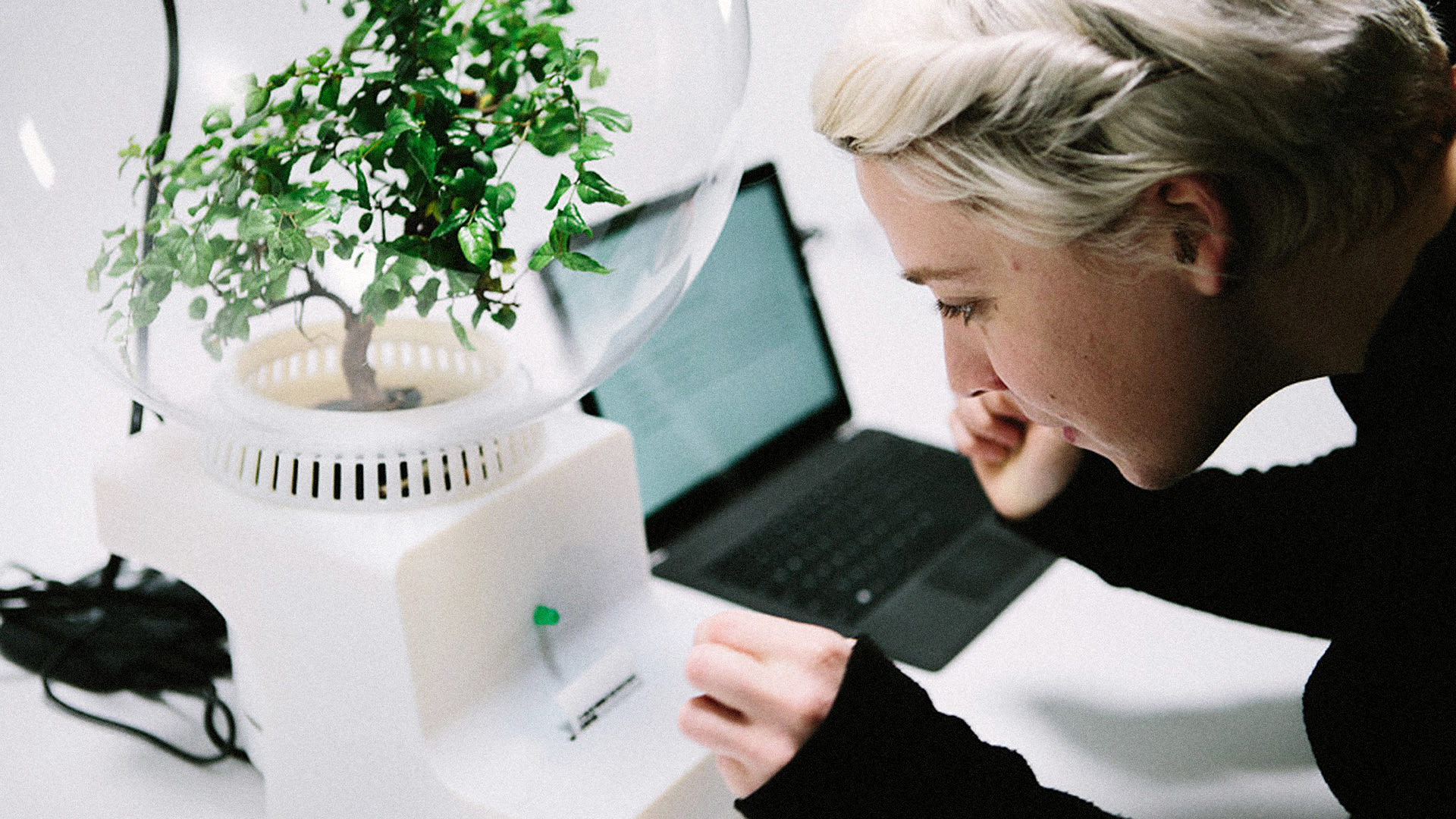 Microsoft Is Teaching Your Plants To Talk Back - Fast Company