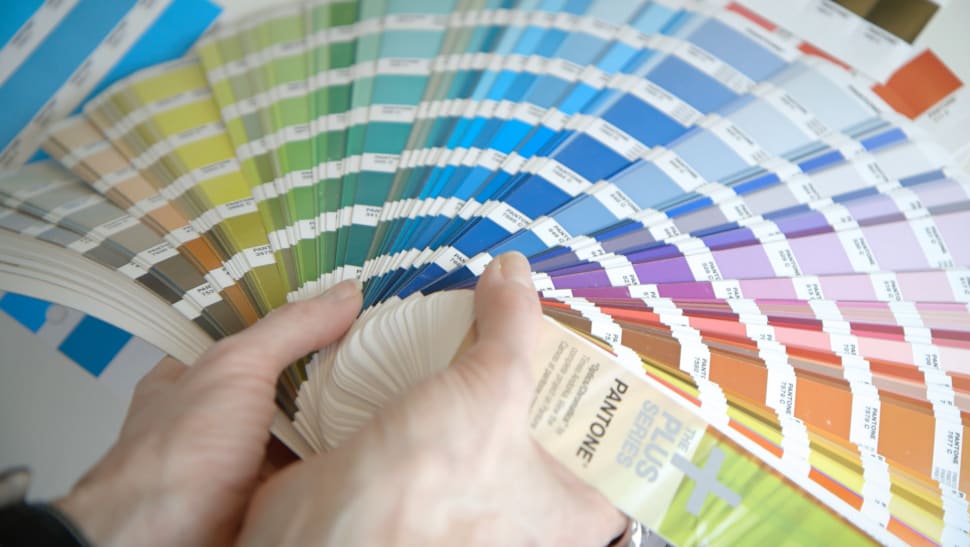 The World's Ugliest Color Examined By Graphic Design Experts - Fast Company