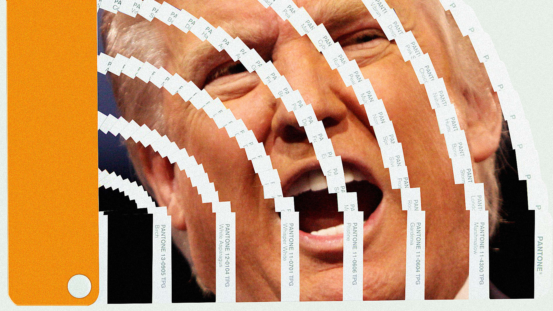 What Pantone Color Is Donald Trump? - Fast Company