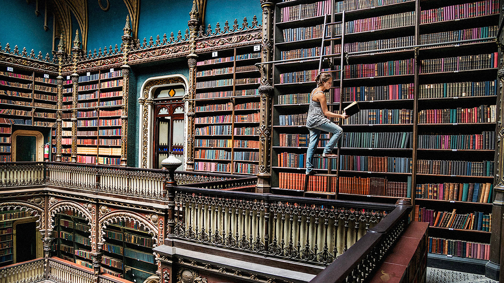 A Portrait Of Readers Across Two Decades And Countless Cultures - Fast ...