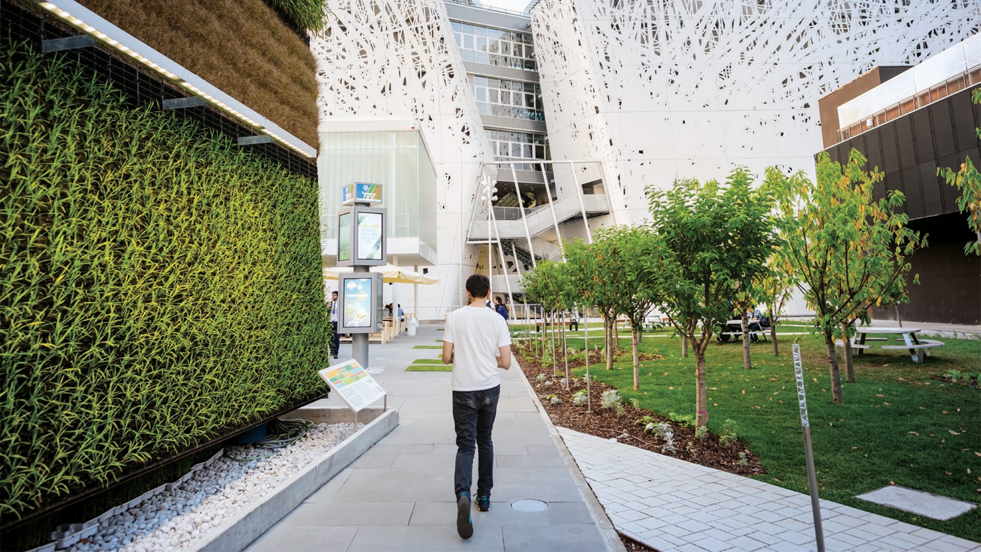 This Is Exactly Why Cities Need To Cover All Of Their Buildings In ...