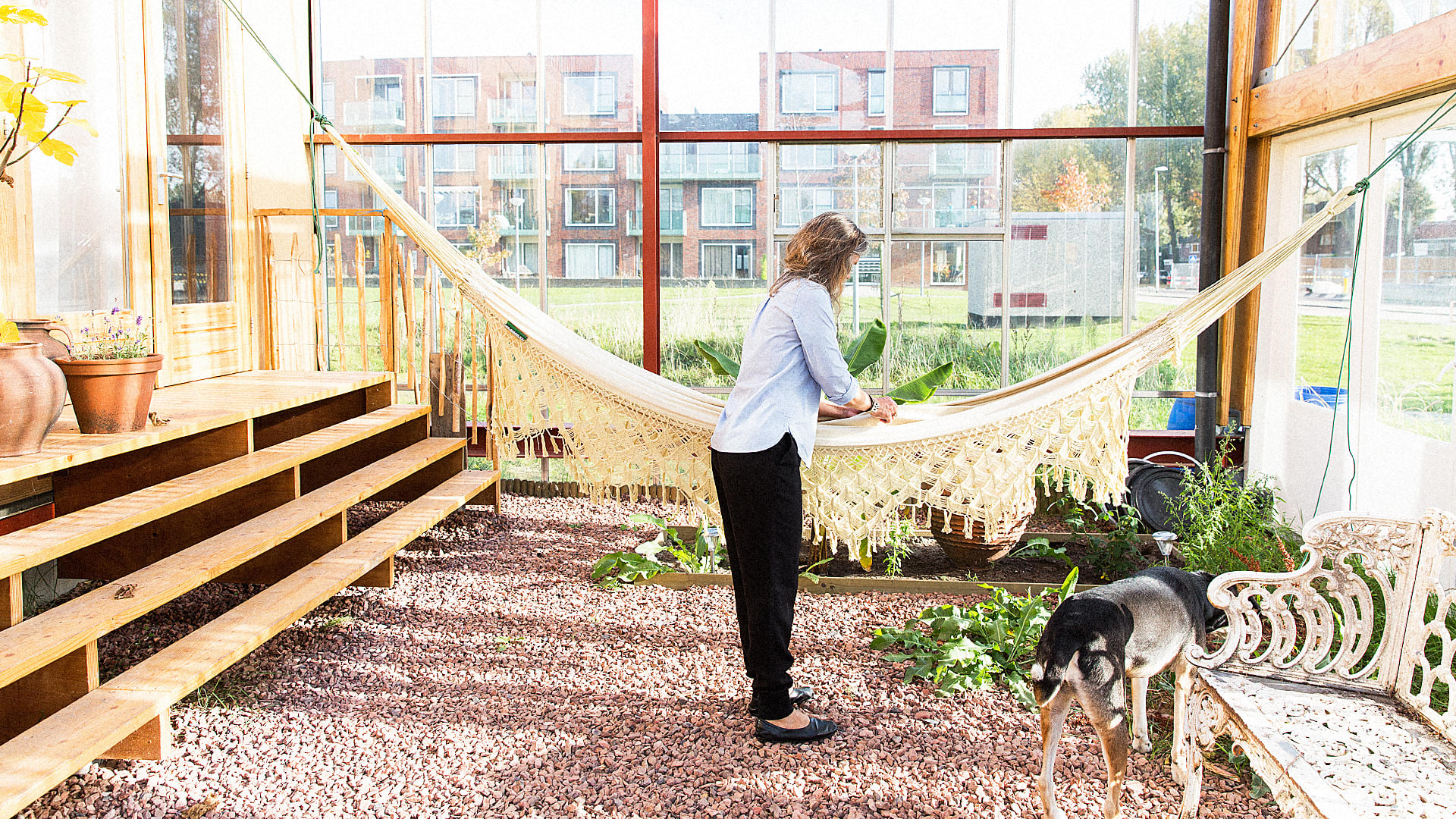 Experimental City: How Rotterdam Became A World Leader In Sustainable ...