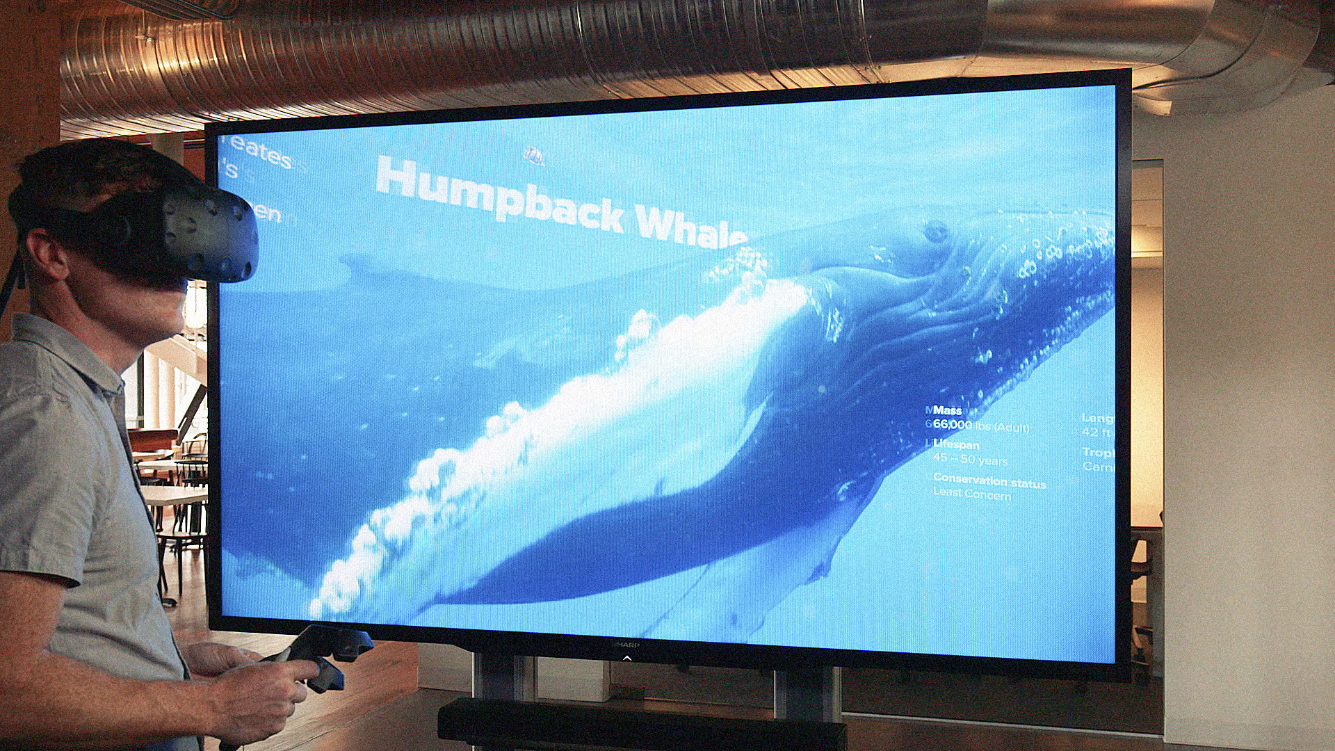 A Rapid Prototyping Tool For Creating VR Worlds - Fast Company