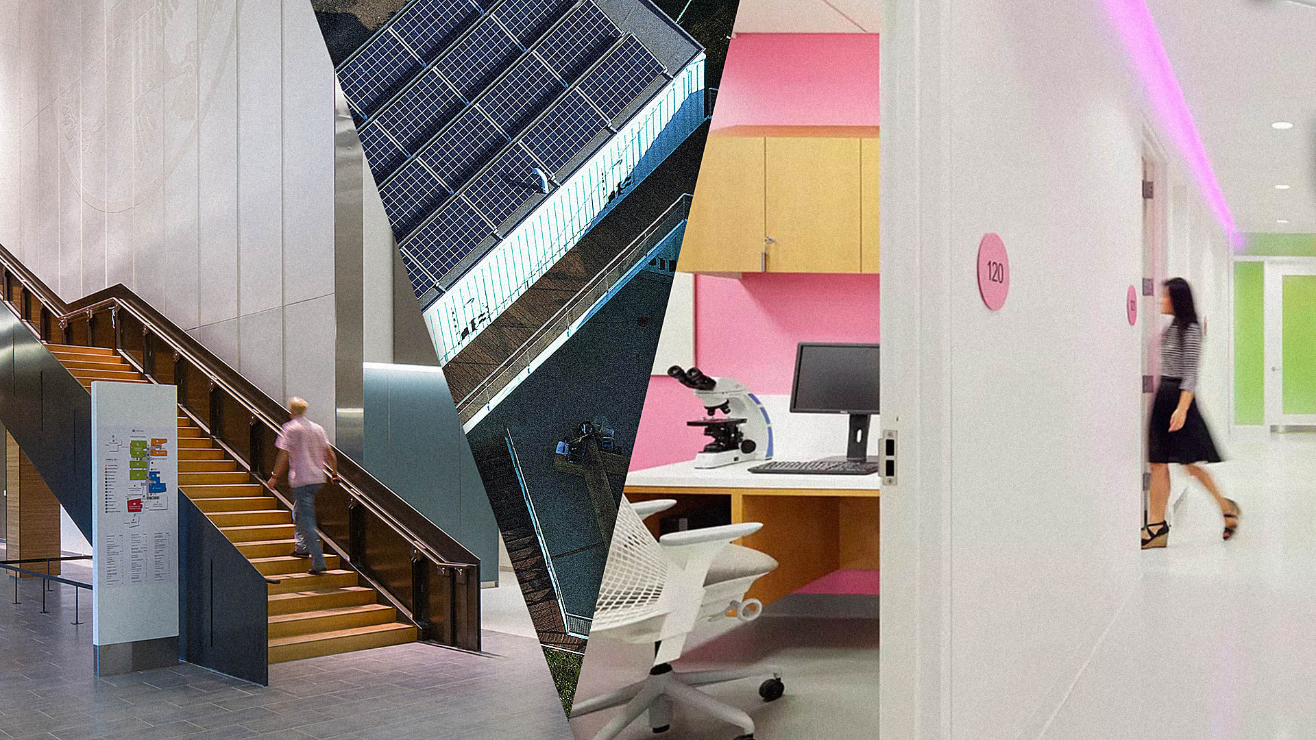 The Year's Most Optimistic Architecture - Fast Company