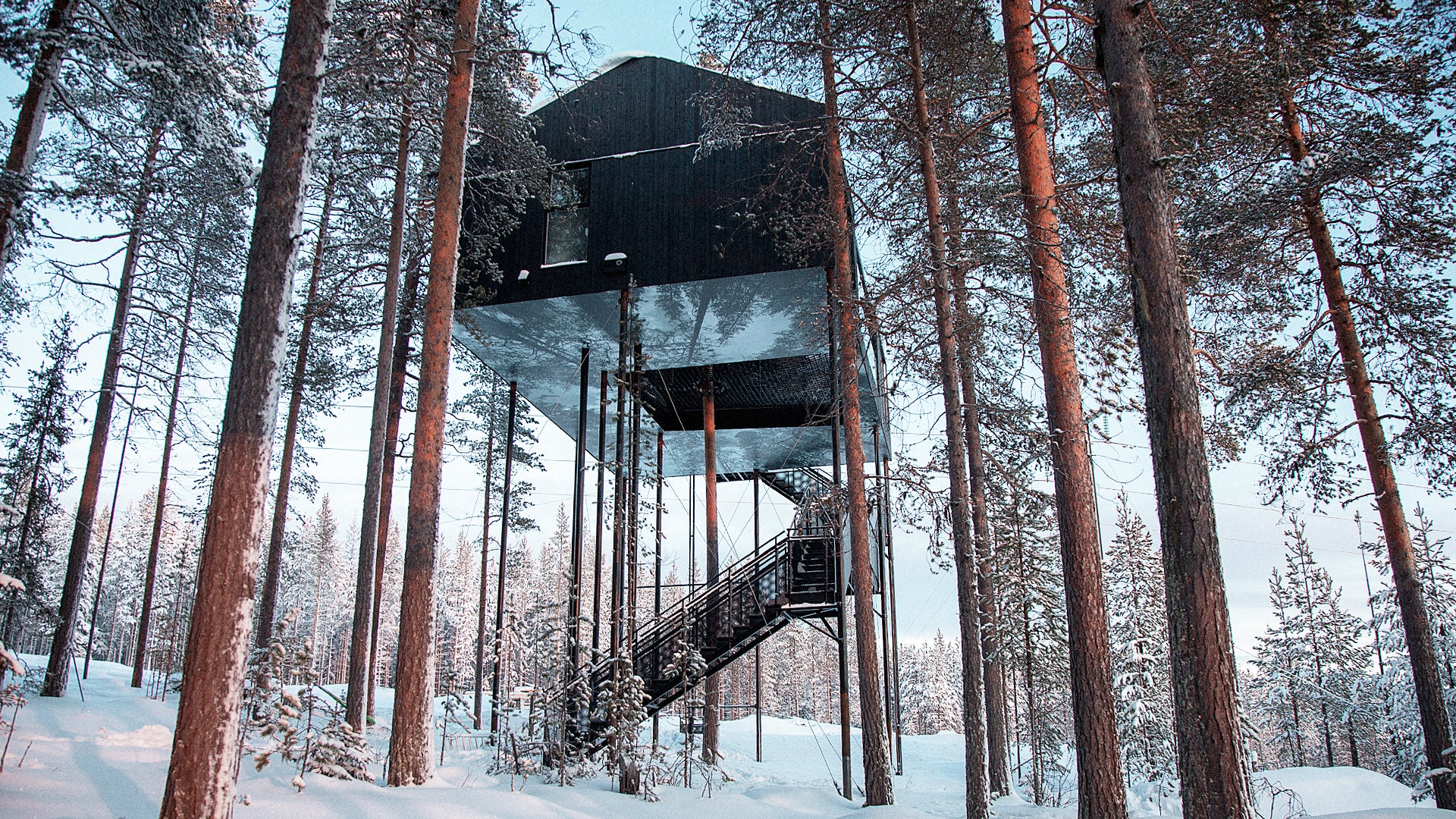 Everything Is Awful So Let's All Escape To This Treehouse For Grown-Ups ...