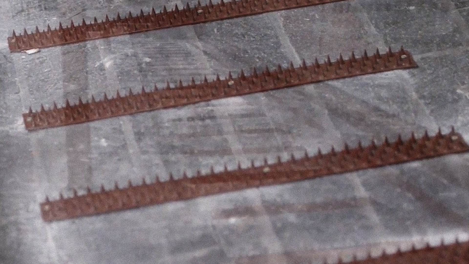 After Locals Kept Covering Anti-Homeless Spikes With Cushions, This ...