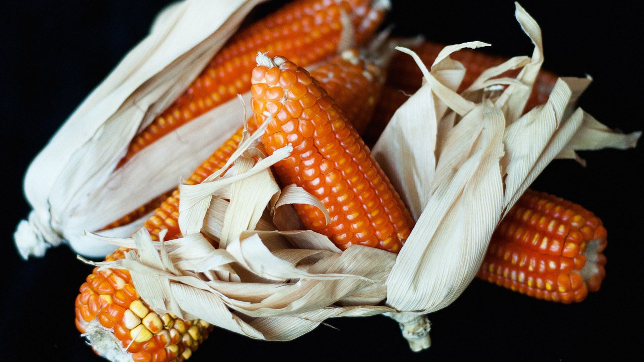 Could Biofortified Crops Be The Key To Solving Global Hunger? - Fast ...
