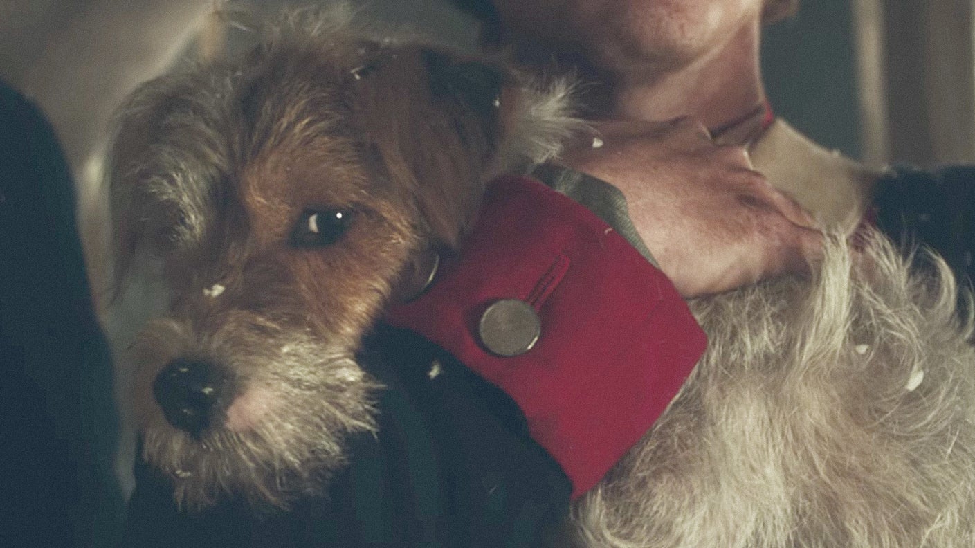 Celebrate America And Dogs With This Obscurely Sweet Revolutionary War ...