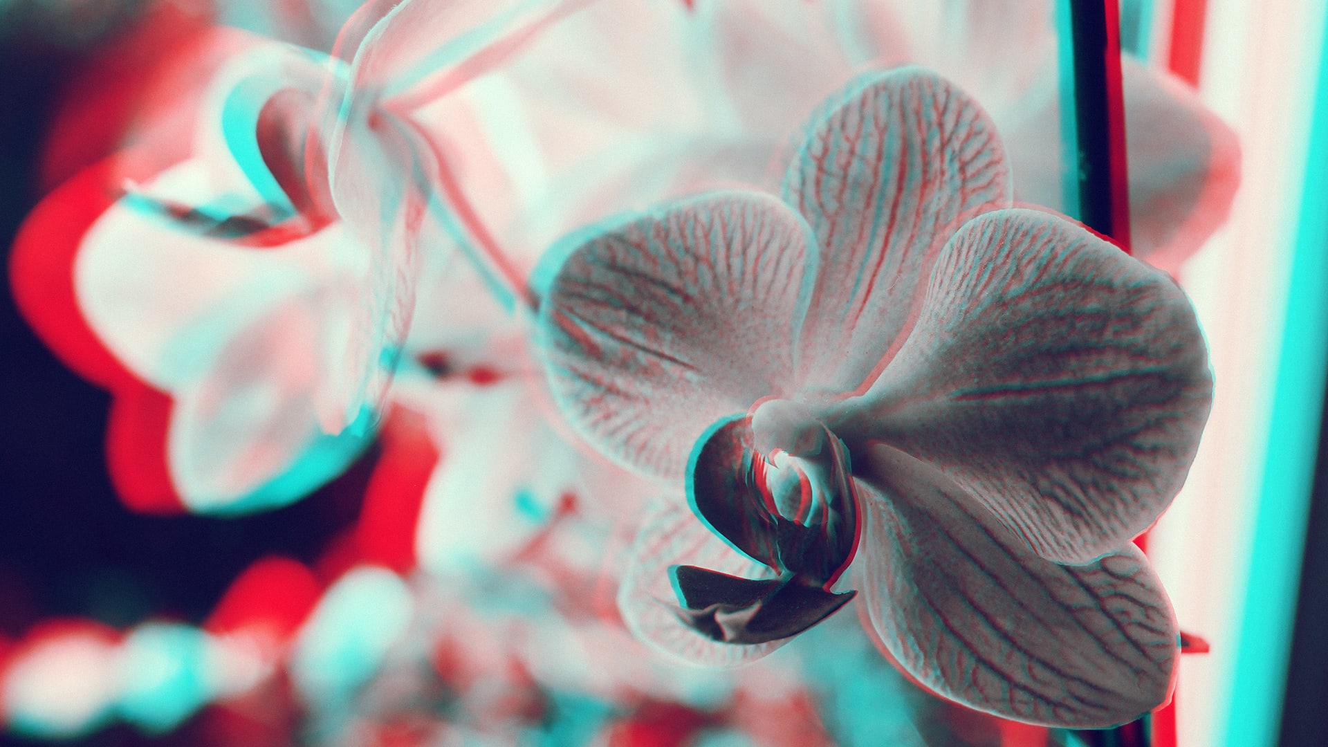 Facebook's Image-Recognition Tech Is Teaching 40,000 Images A Second To ...