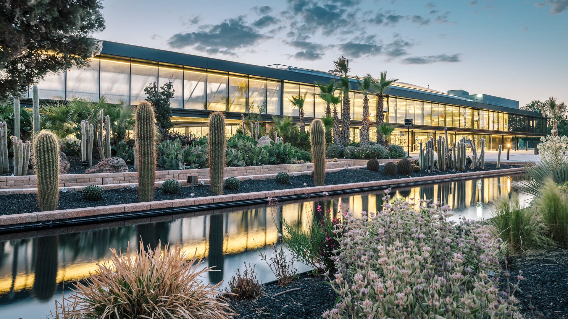 The Lawns Of The Future Will Be Filled With Cacti - Fast Company
