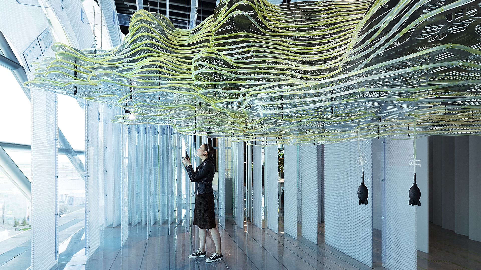 These Architects Want To Make Algae Farming Just Another Part Of Urban ...