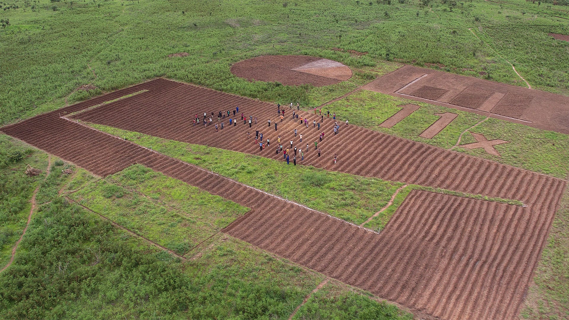 To Get The World's Attention, These African Farmers Turned A Field Into ...