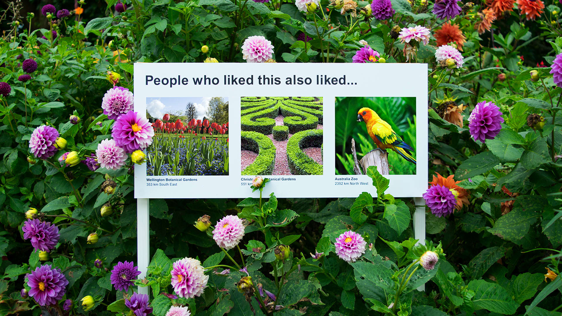 What If Algorithms Controlled Your Life Offline, Too? - Fast Company