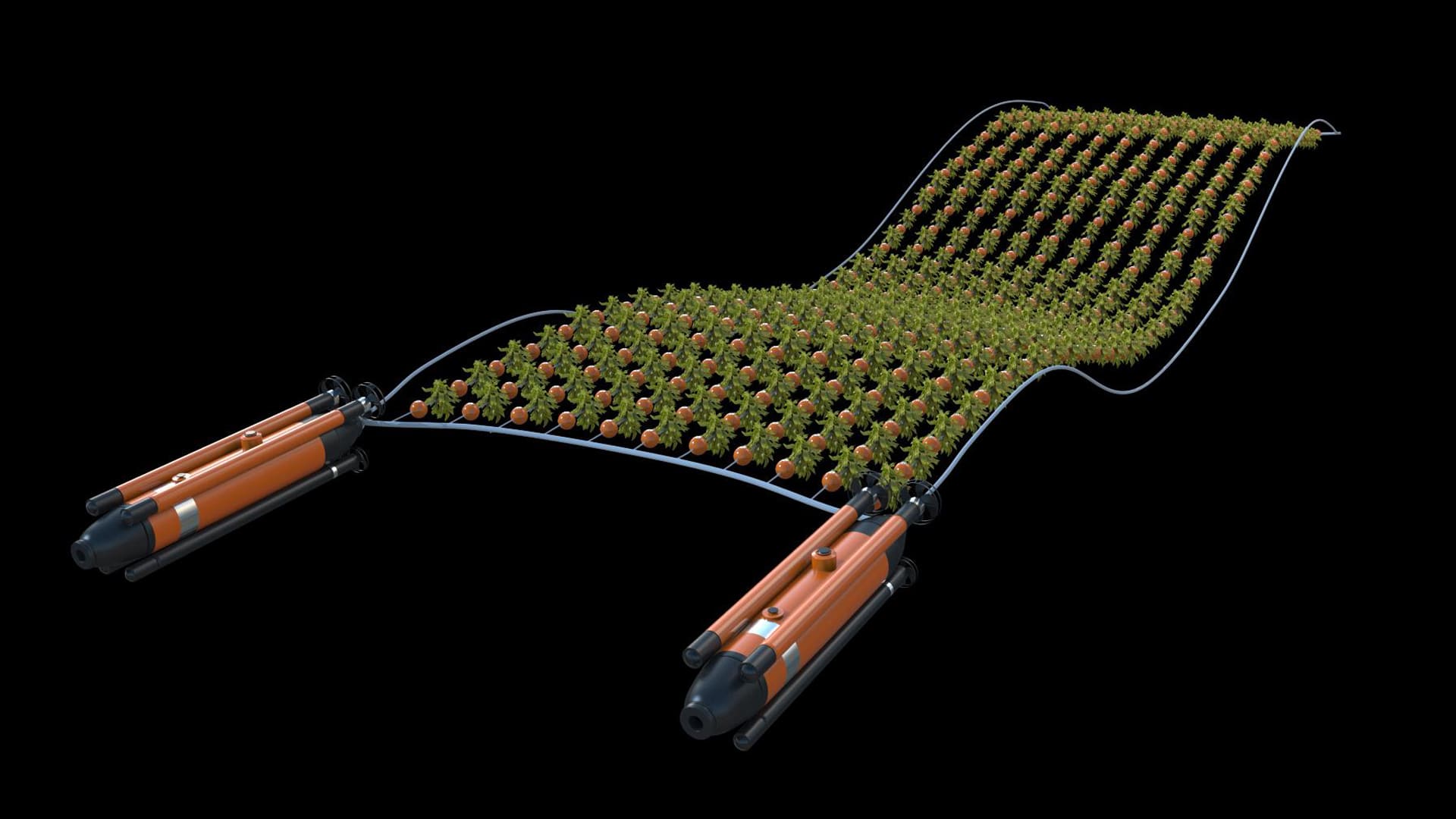 Could These Robotic Kelp Farms Give Us An Abundant Source Of Carbon ...