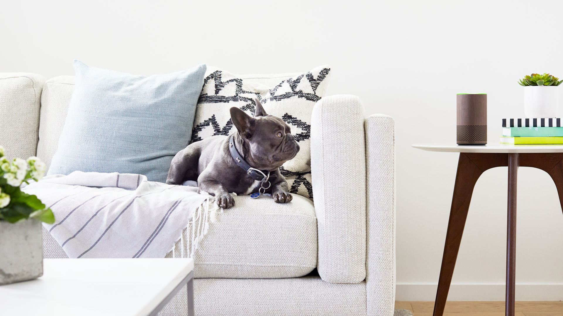 Amazon's Alexa Is A Real Smart Home Platform Now - Fast Company