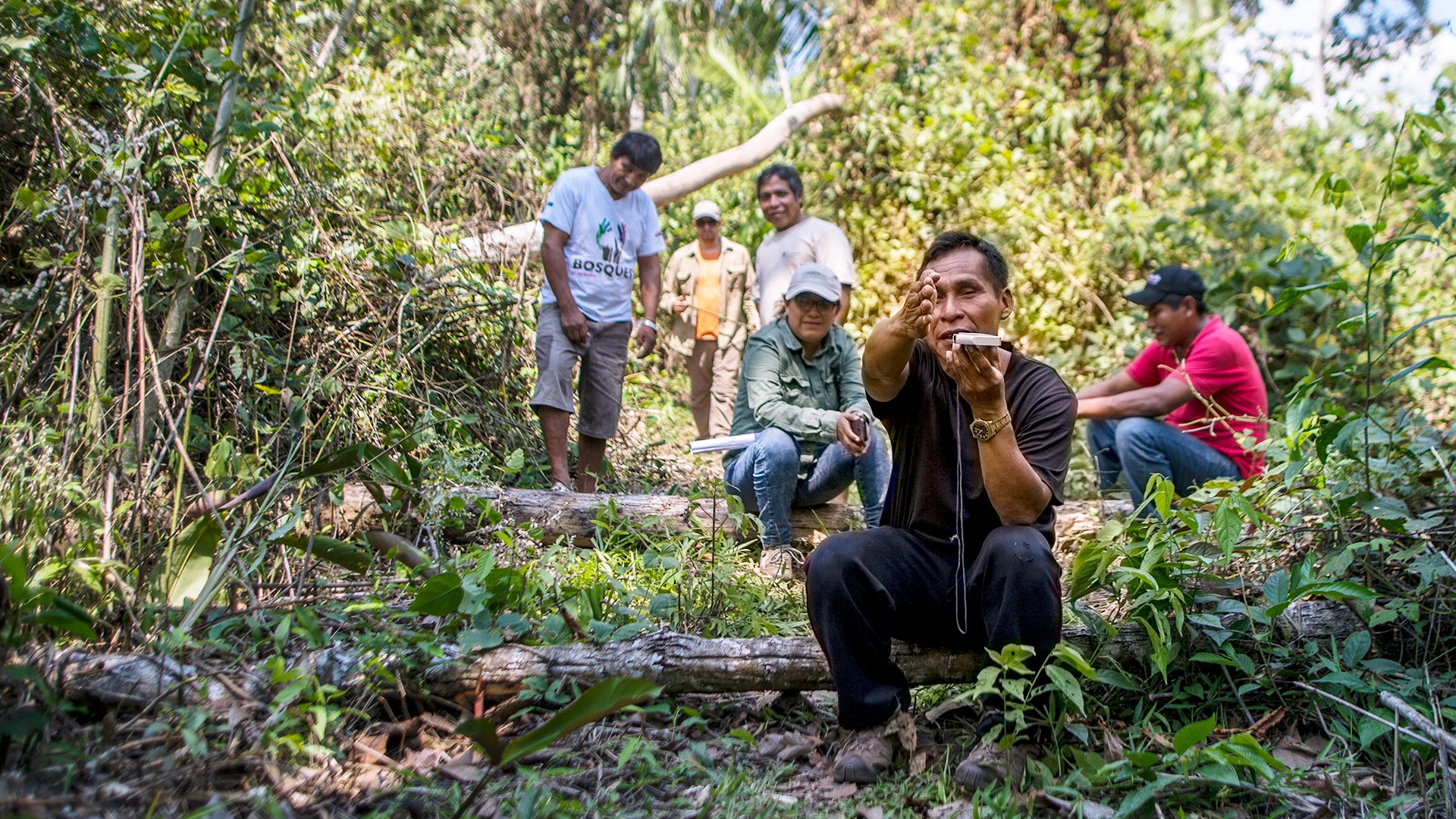 When Indigenous People Control Their Own Land, It Protects Us All From ...