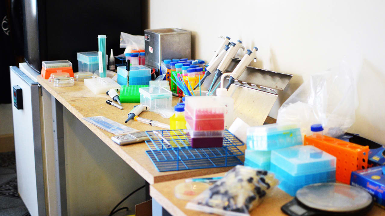 Modifying Your Own Genes Is Just An Injection Away-If You're Feeling ...