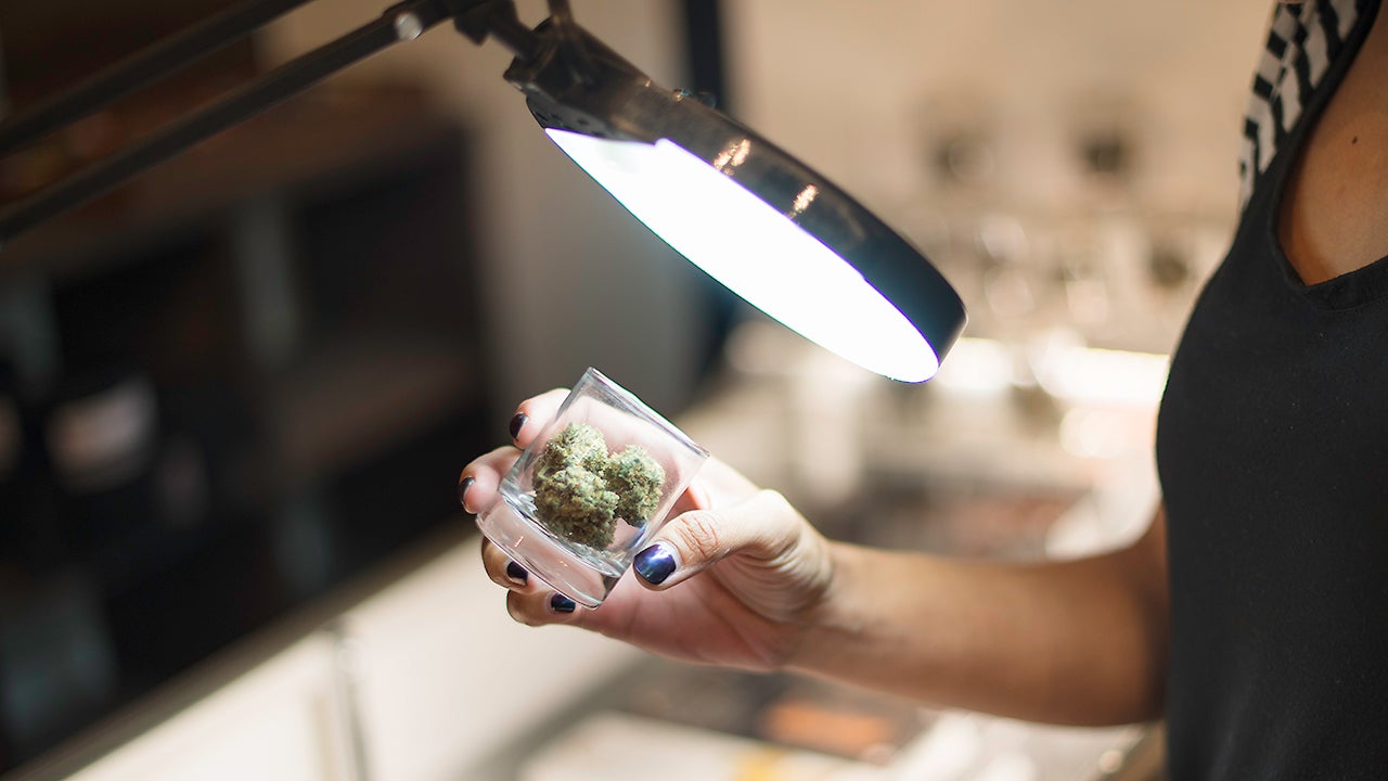 This Weed Warrior Is Breaking Barriers In The Marijuana Movement - Fast ...