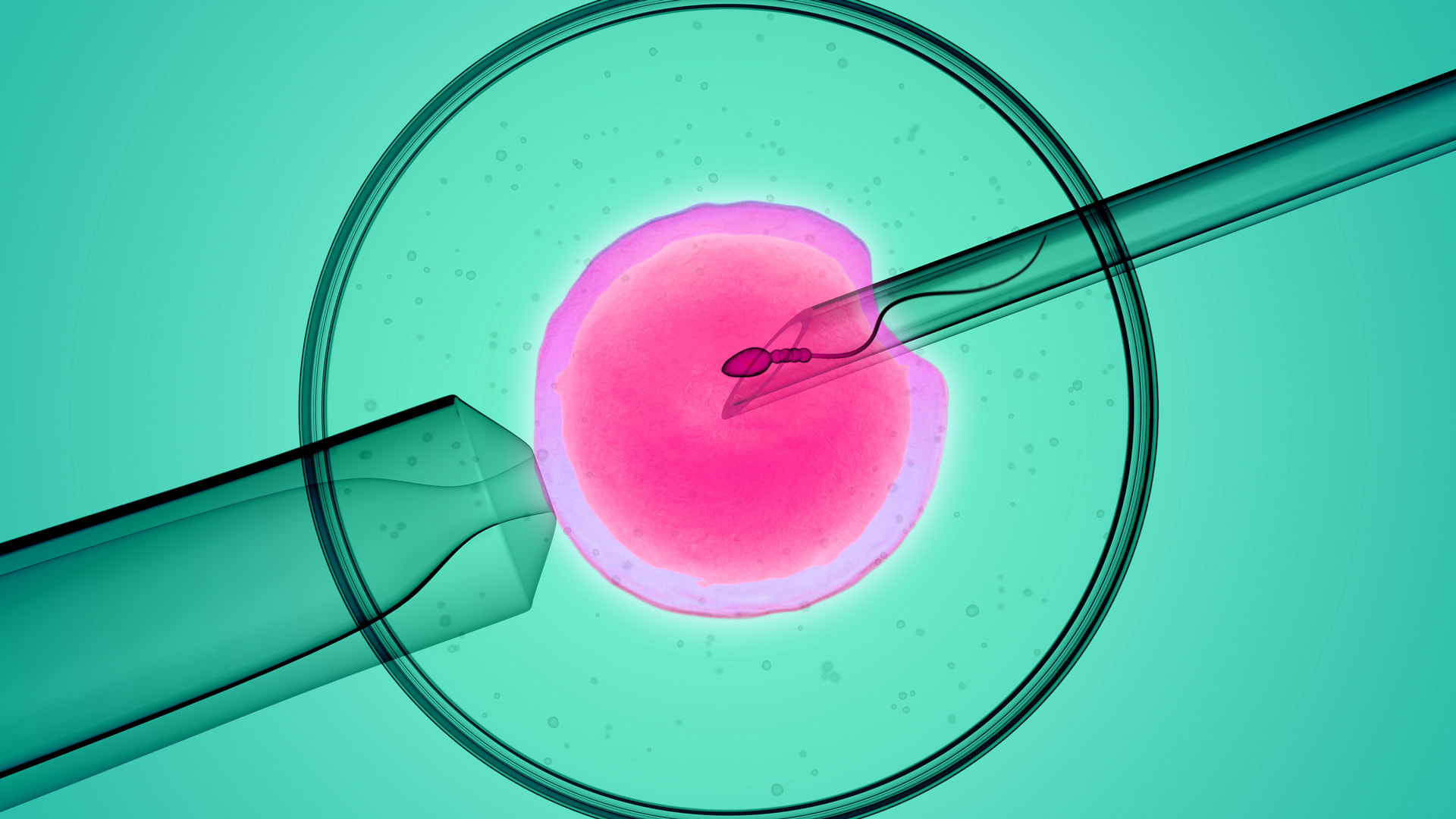 These companies offer the most generous IVF employee benefits - Fast ...