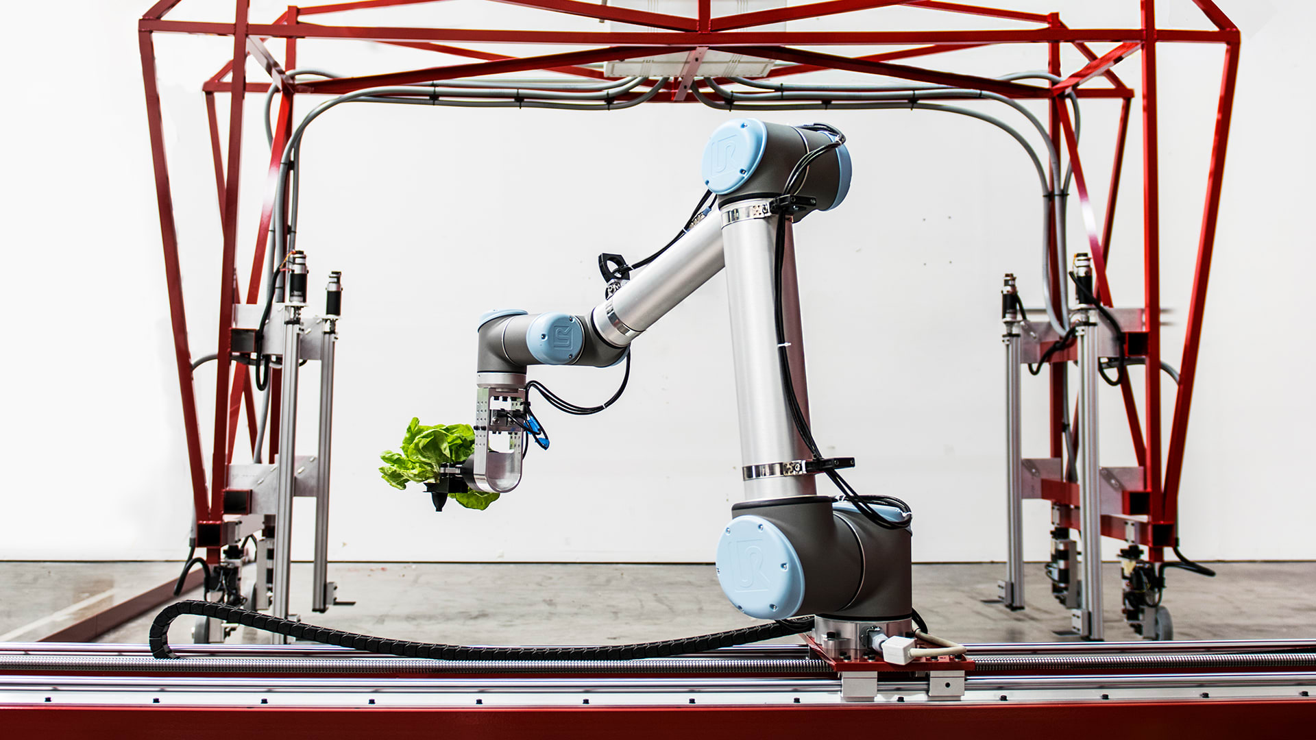 This Robot Handles The Entire Process Of Growing Lettuce By Itself ...