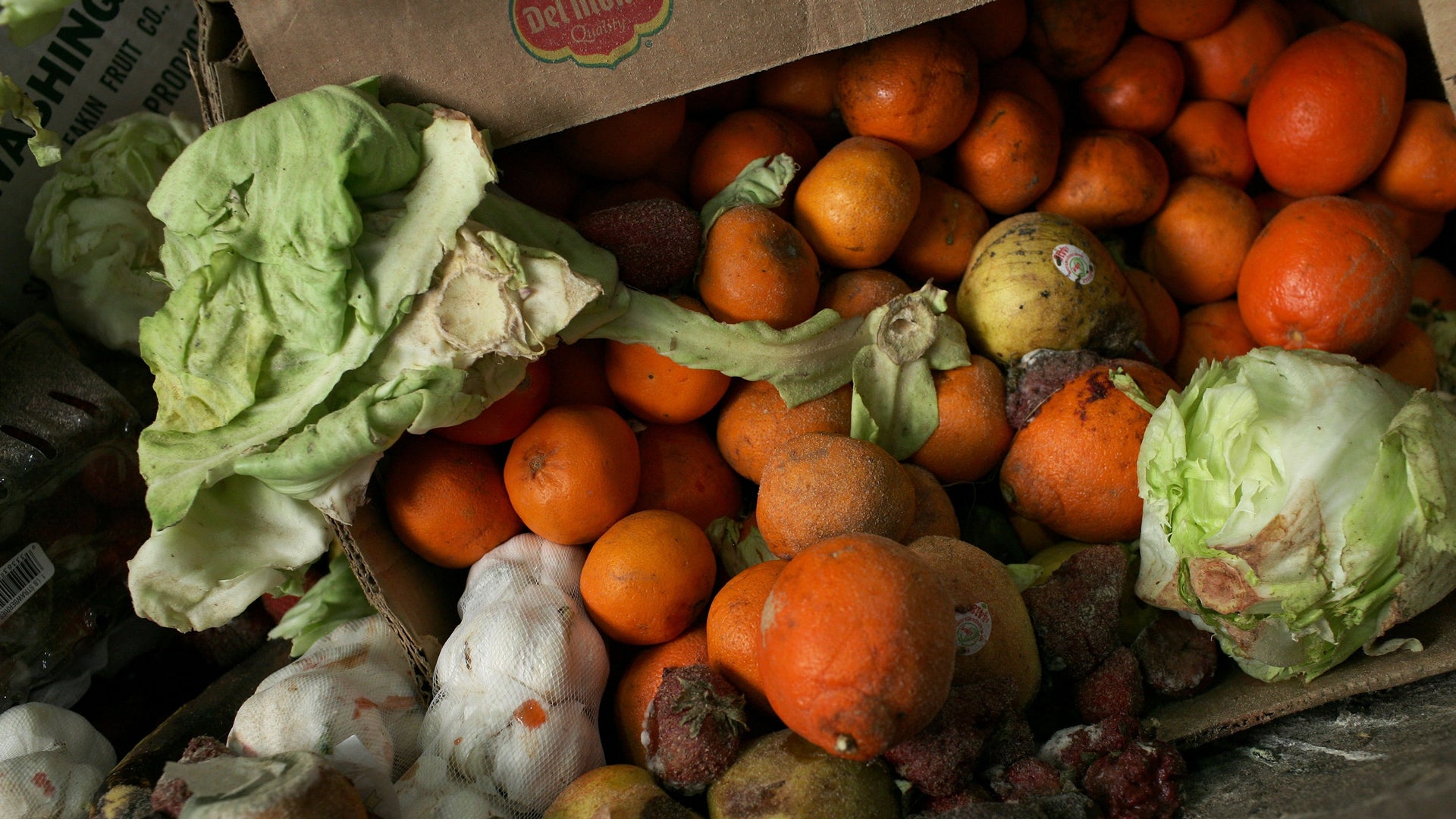 New York's Sanitation Bureau Is Searching For Food Waste Innovations ...