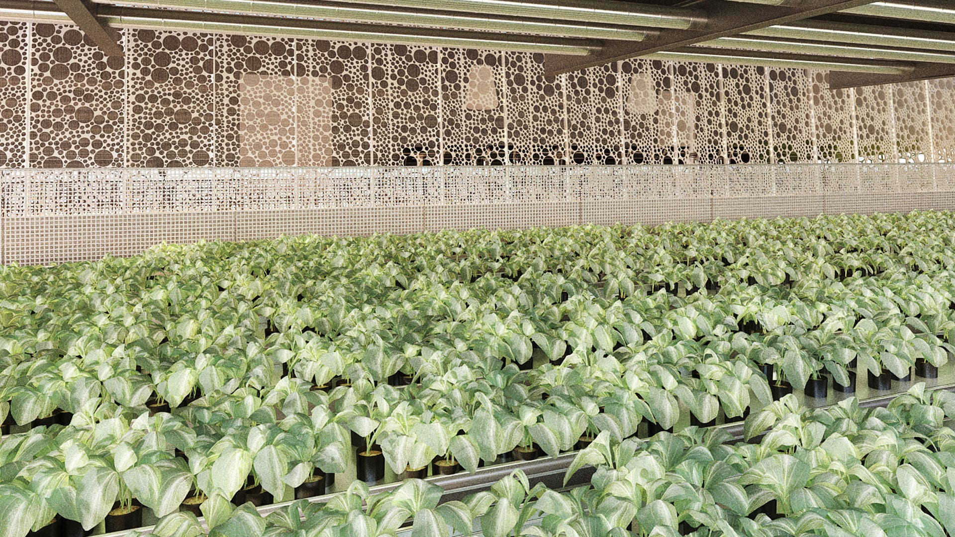 This Underground Urban Farm Also Heats The Building Above It - Fast Company