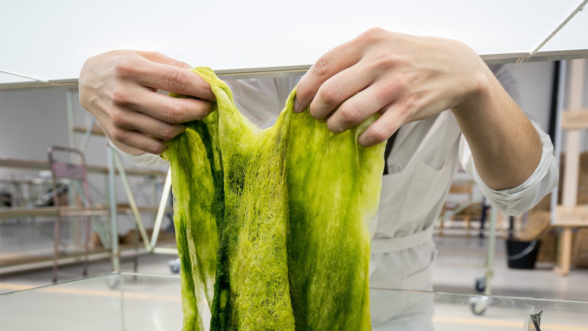 The Creators Of This Algae Plastic Want To Start A Maker Revolution ...