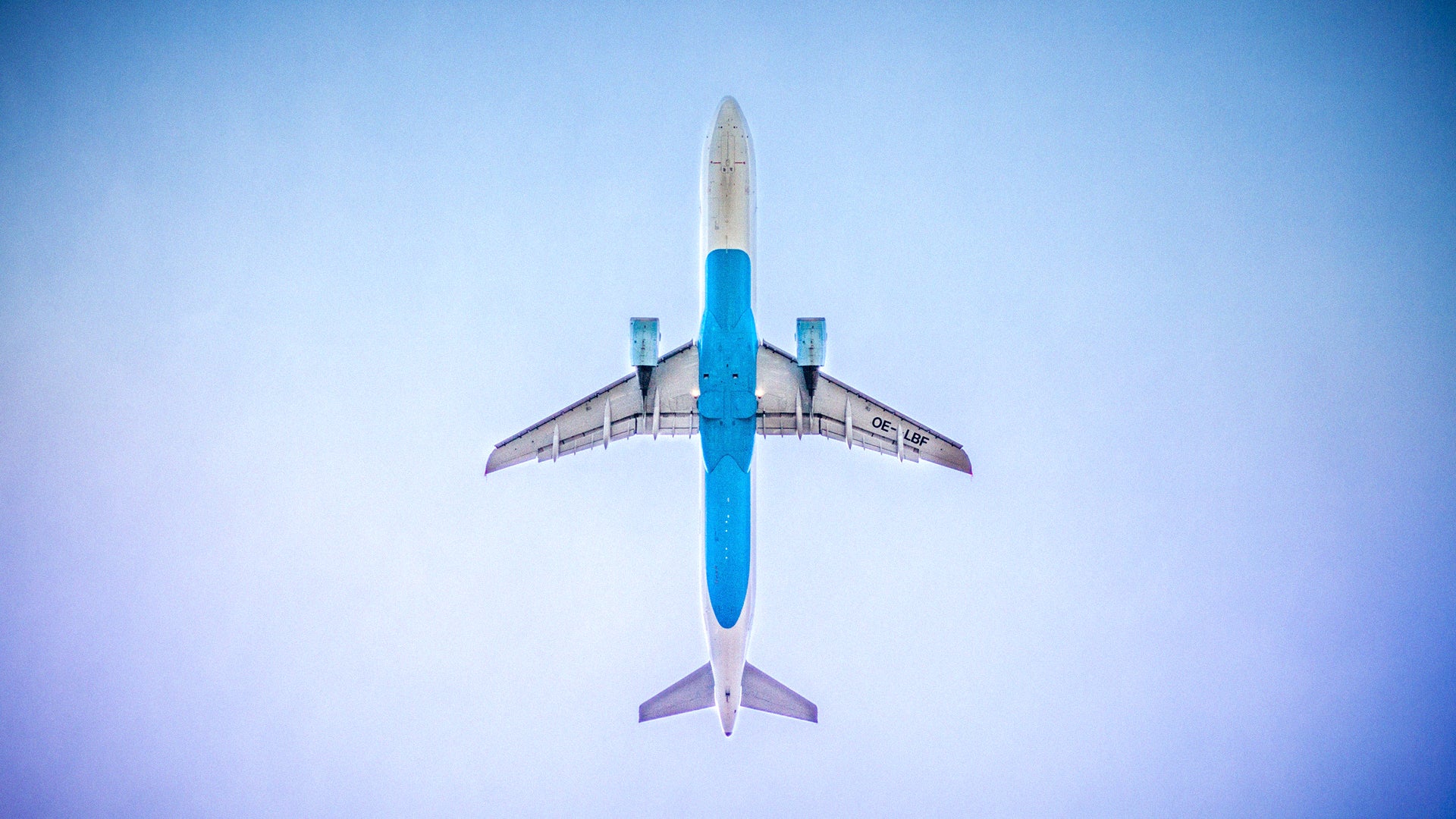 Opposing Visions Could Be Causing Turbulence For Airbnb's Flight Plans ...
