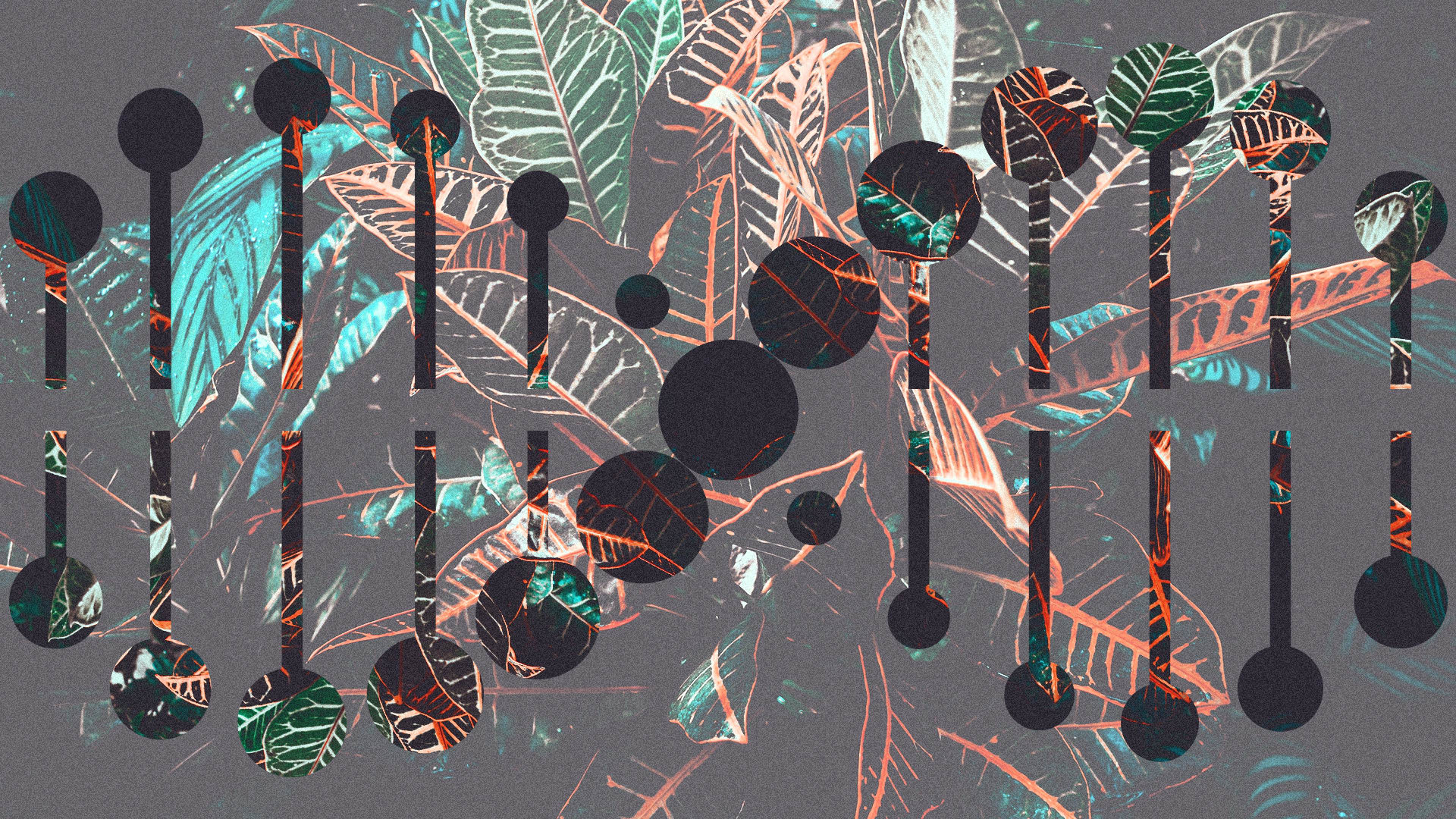 How A Bank Of All The World's Genetic Codes Hopes To Save Nature - Fast ...