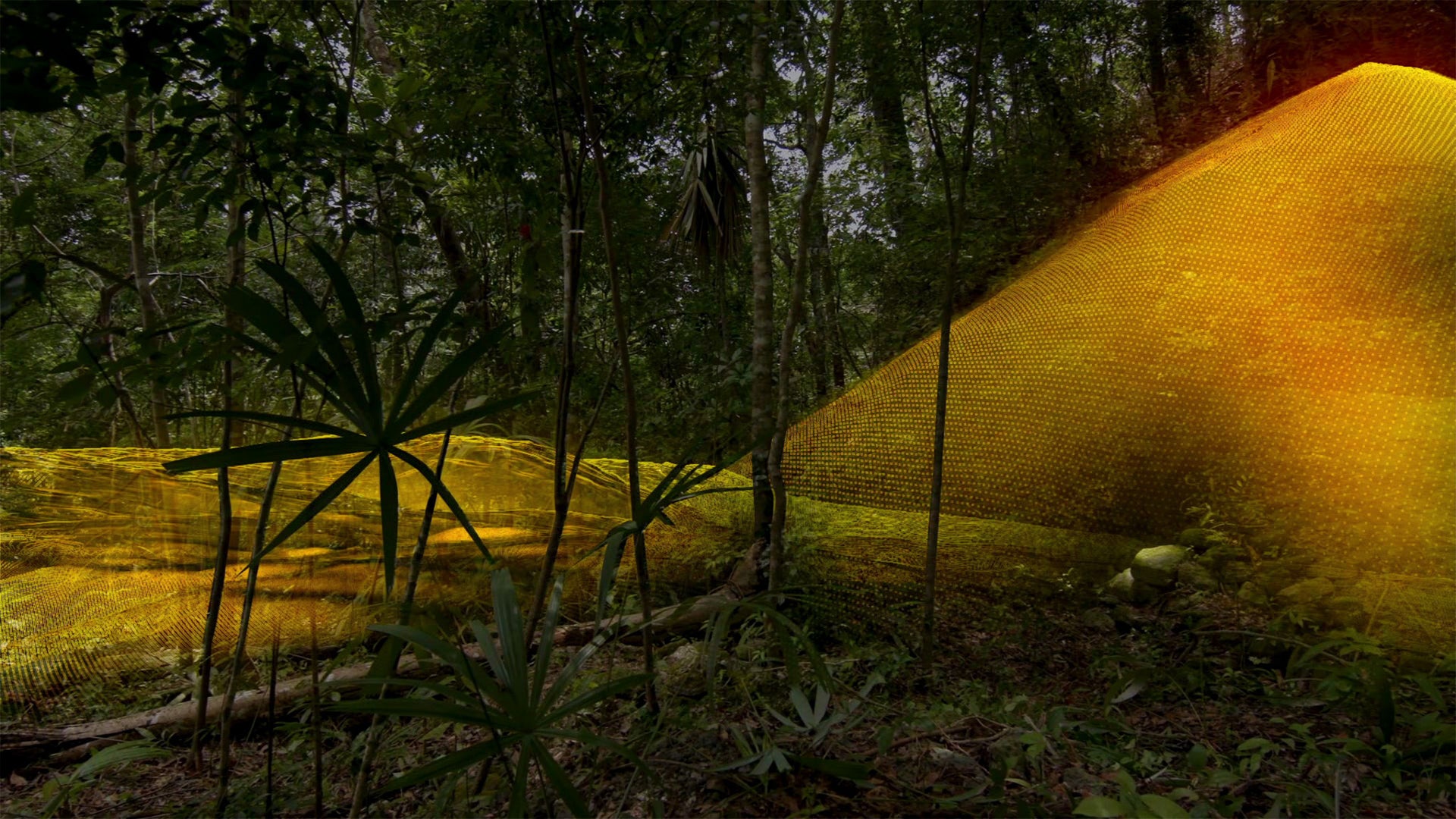 A Lost City Of The Mayan Snake Kings Has Been Discovered - Fast Company