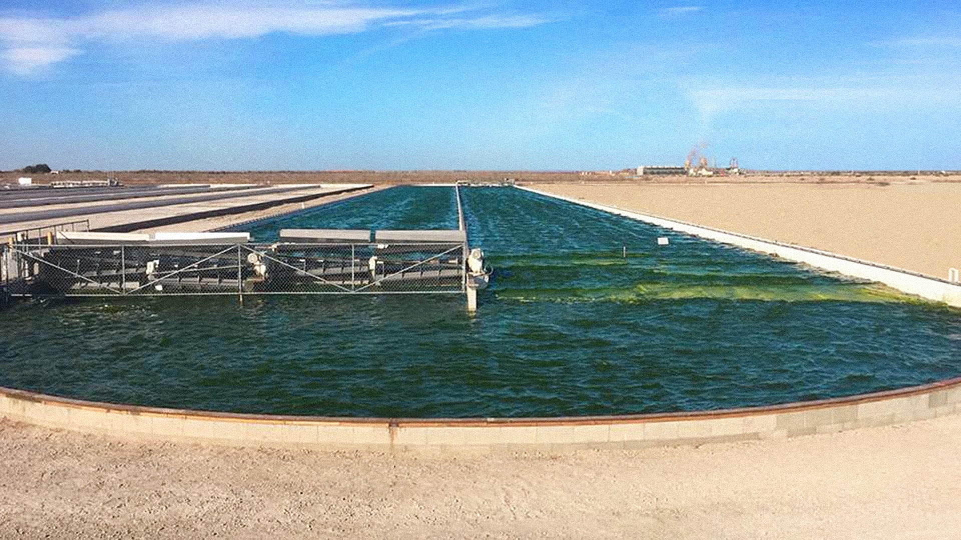 Exxon Thinks It Can Create Biofuel From Algae At Massive Scale - Fast ...