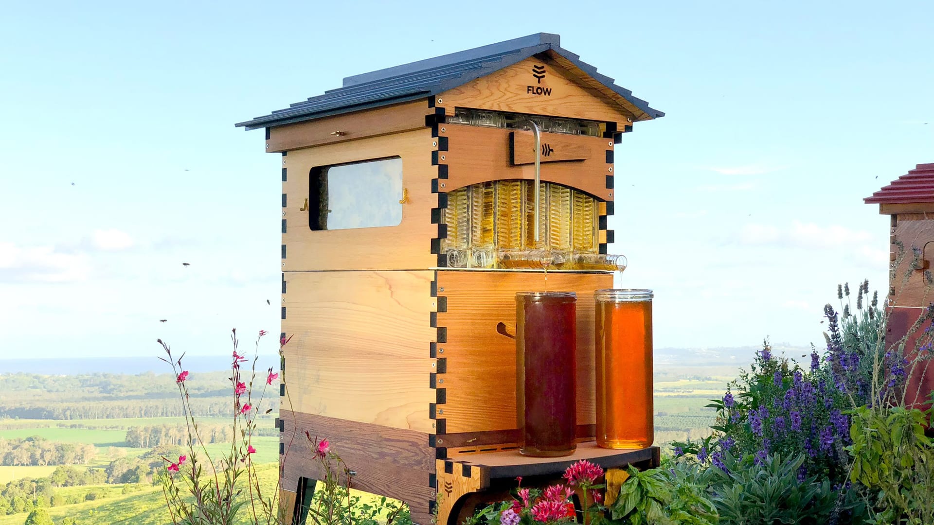 This Easy-To-Use Beehive Is Bringing Honey To Backyards - Fast Company