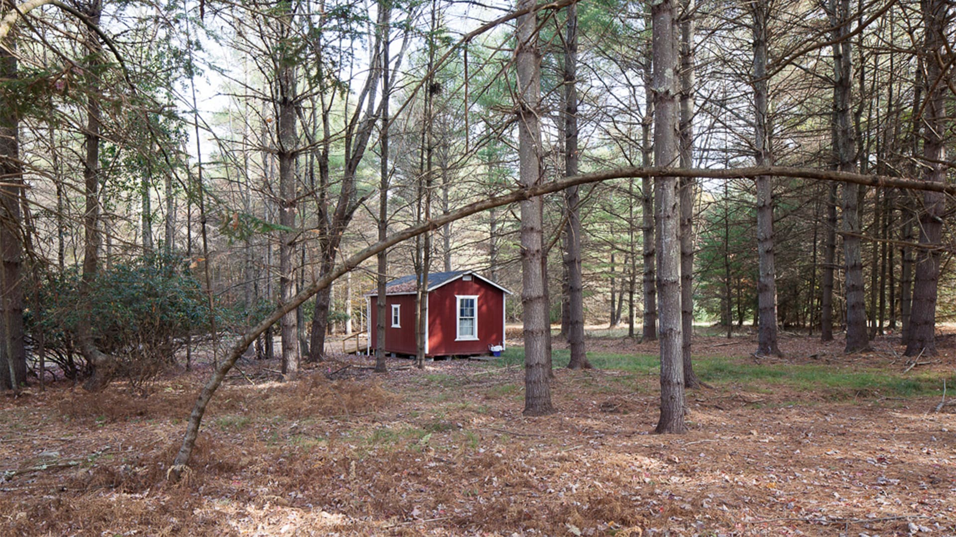 This Is What A World Without Smartphones Looks Like - Fast Company