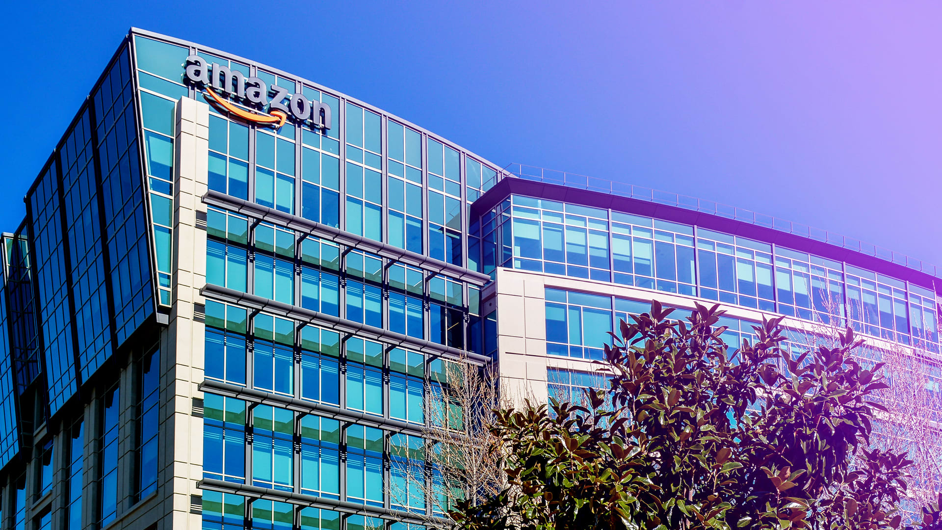 Report: Amazon board's diversity stance draws fire from Amazon ...
