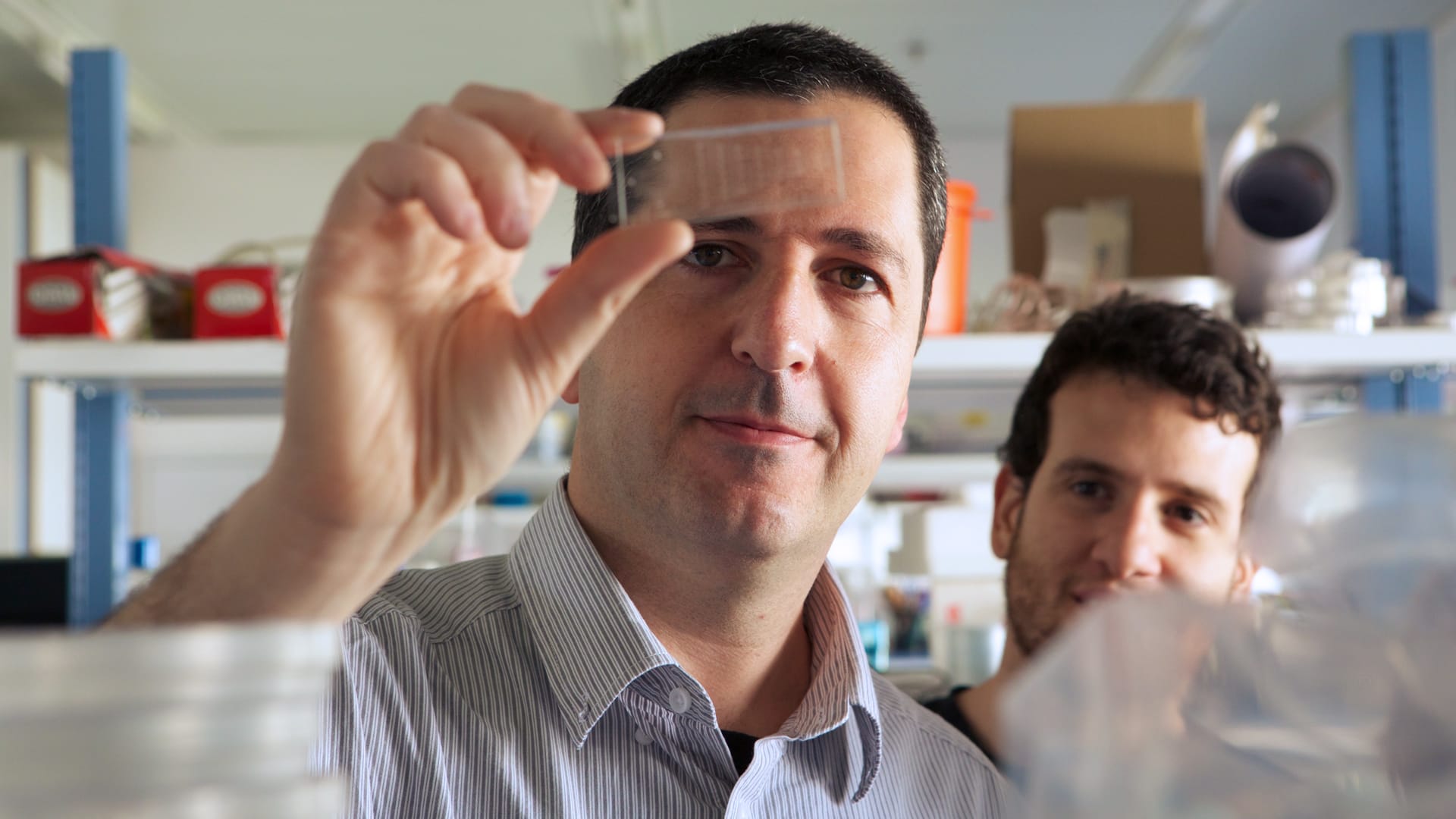 Lab-Grown Meat Is Getting Cheap Enough For Anyone To Buy - Fast Company