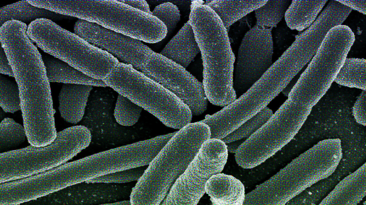 Please send us your poop - Fast Company