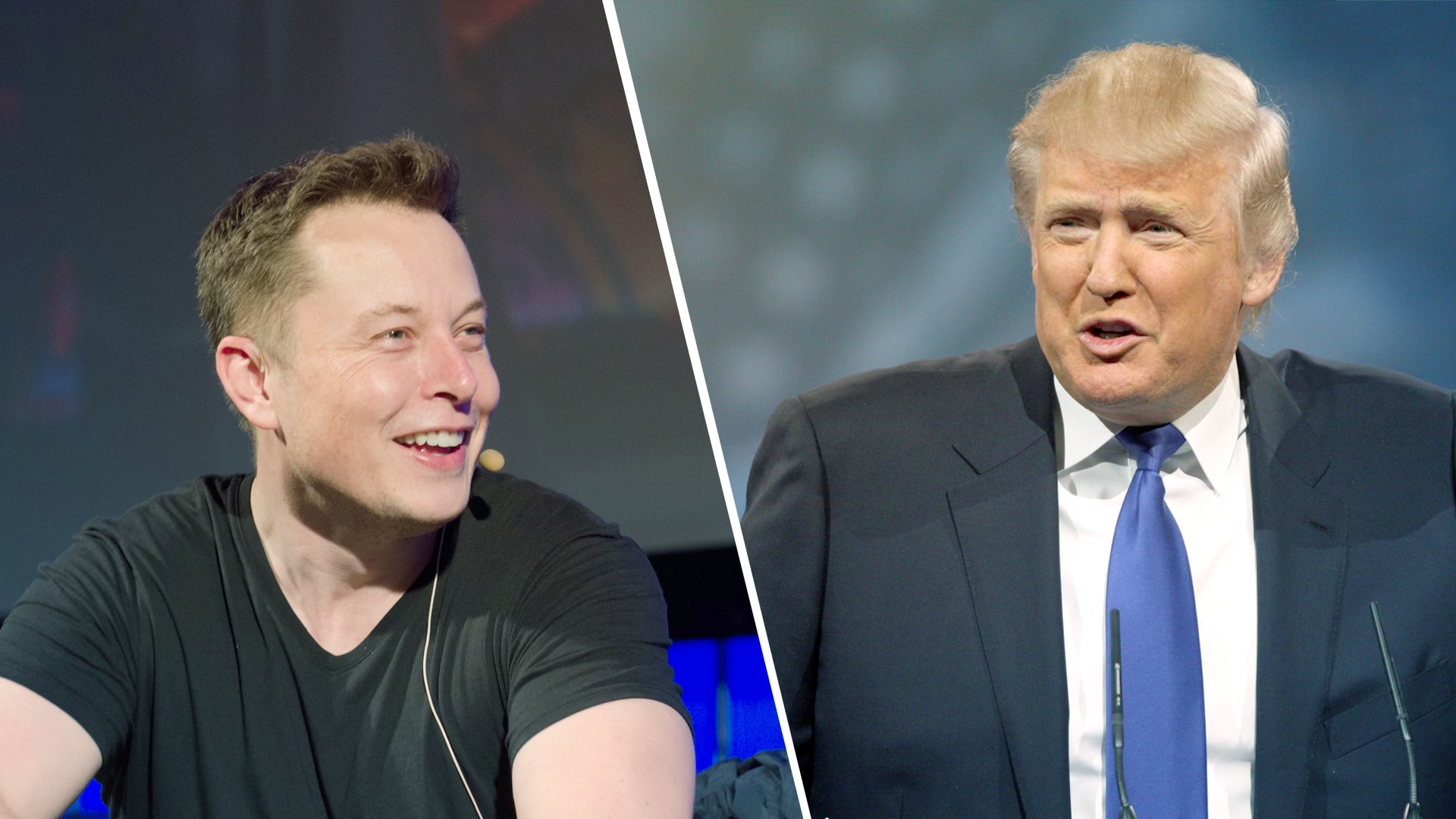 Elon musk donald trump interview